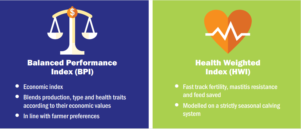 Your Farm Genetics - Better Genetics, Our Commitment